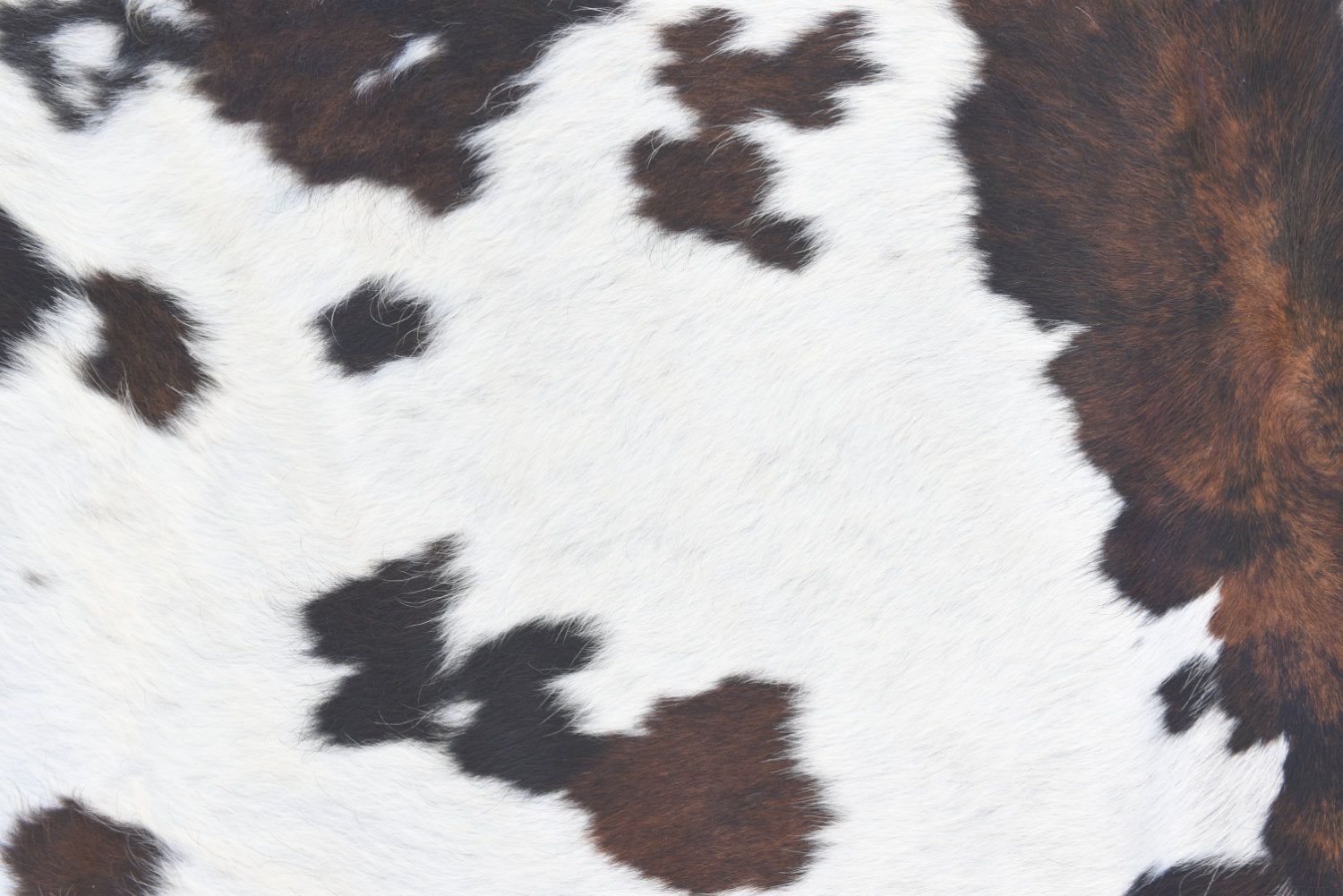 Cow Hide Wallpapers - Top Free Cow Hide Backgrounds - WallpaperAccess