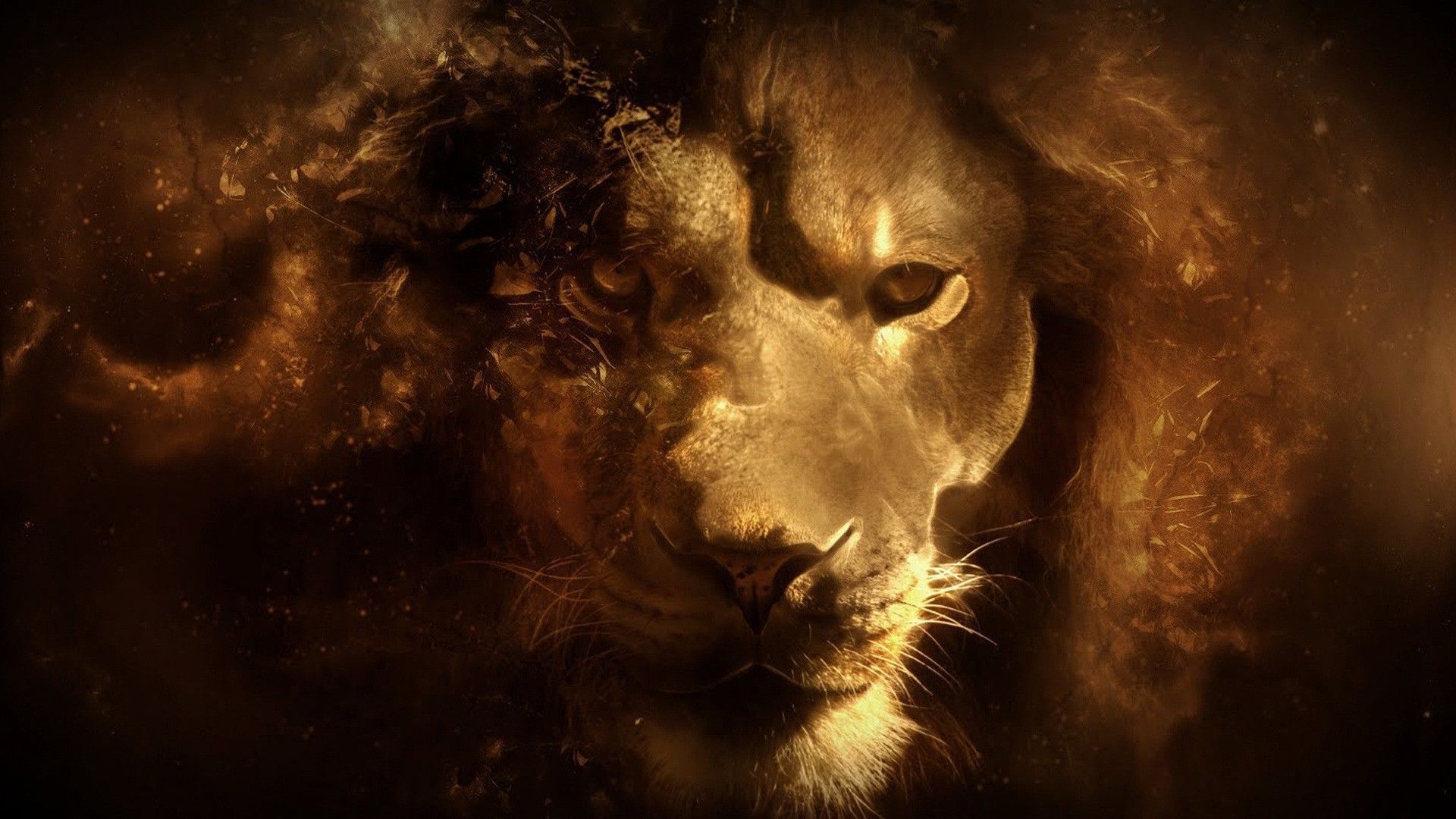 Fantasy Lion Wallpapers - Top Free Fantasy Lion Backgrounds ...