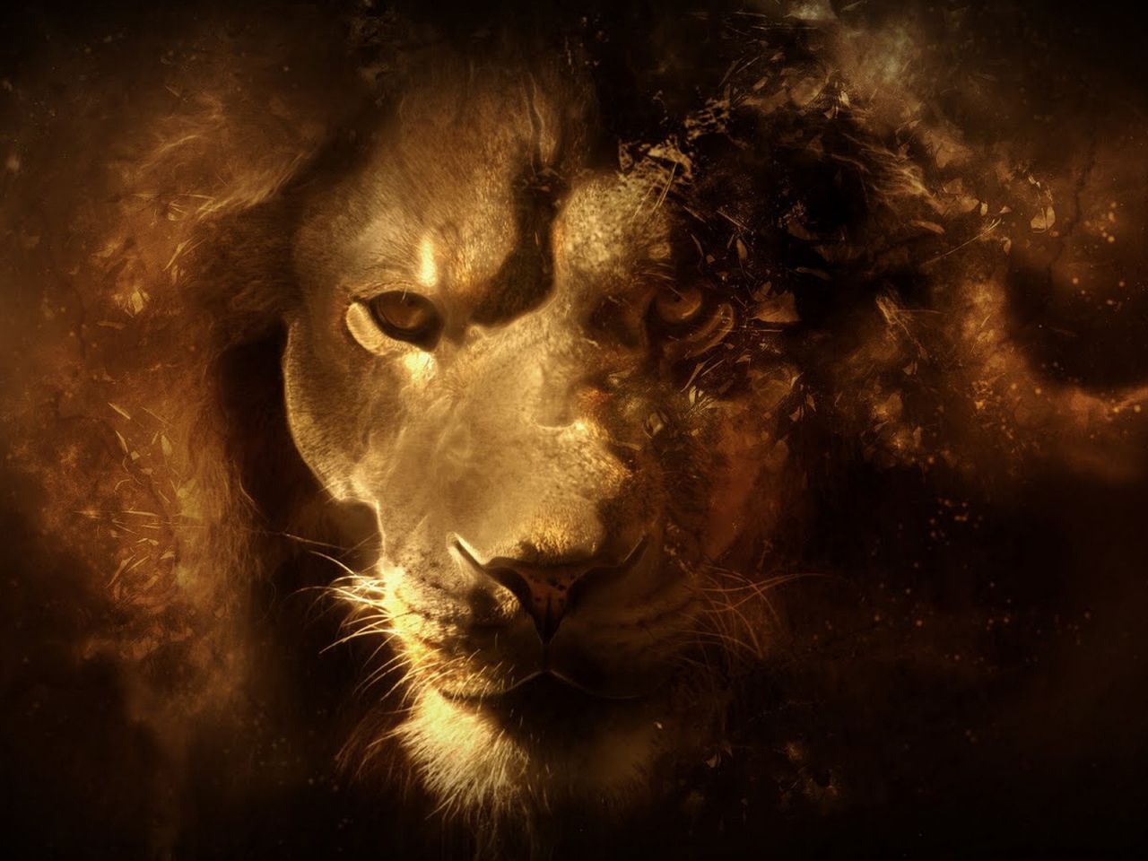 Fantasy Lion Wallpapers - Top Free Fantasy Lion Backgrounds ...