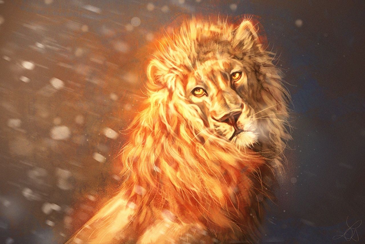 Fantasy Lion Wallpapers - Top Free Fantasy Lion Backgrounds ...
