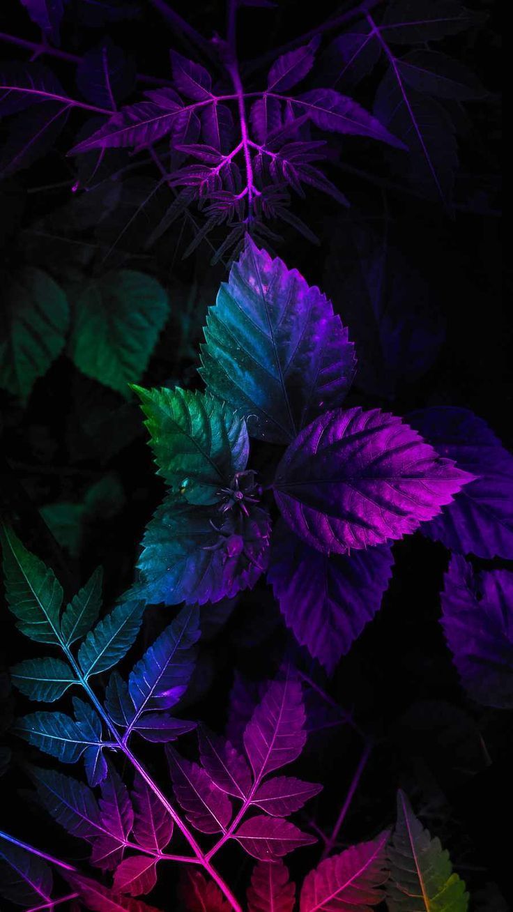 Dark Colourful Wallpapers - Top Free Dark Colourful Backgrounds ...