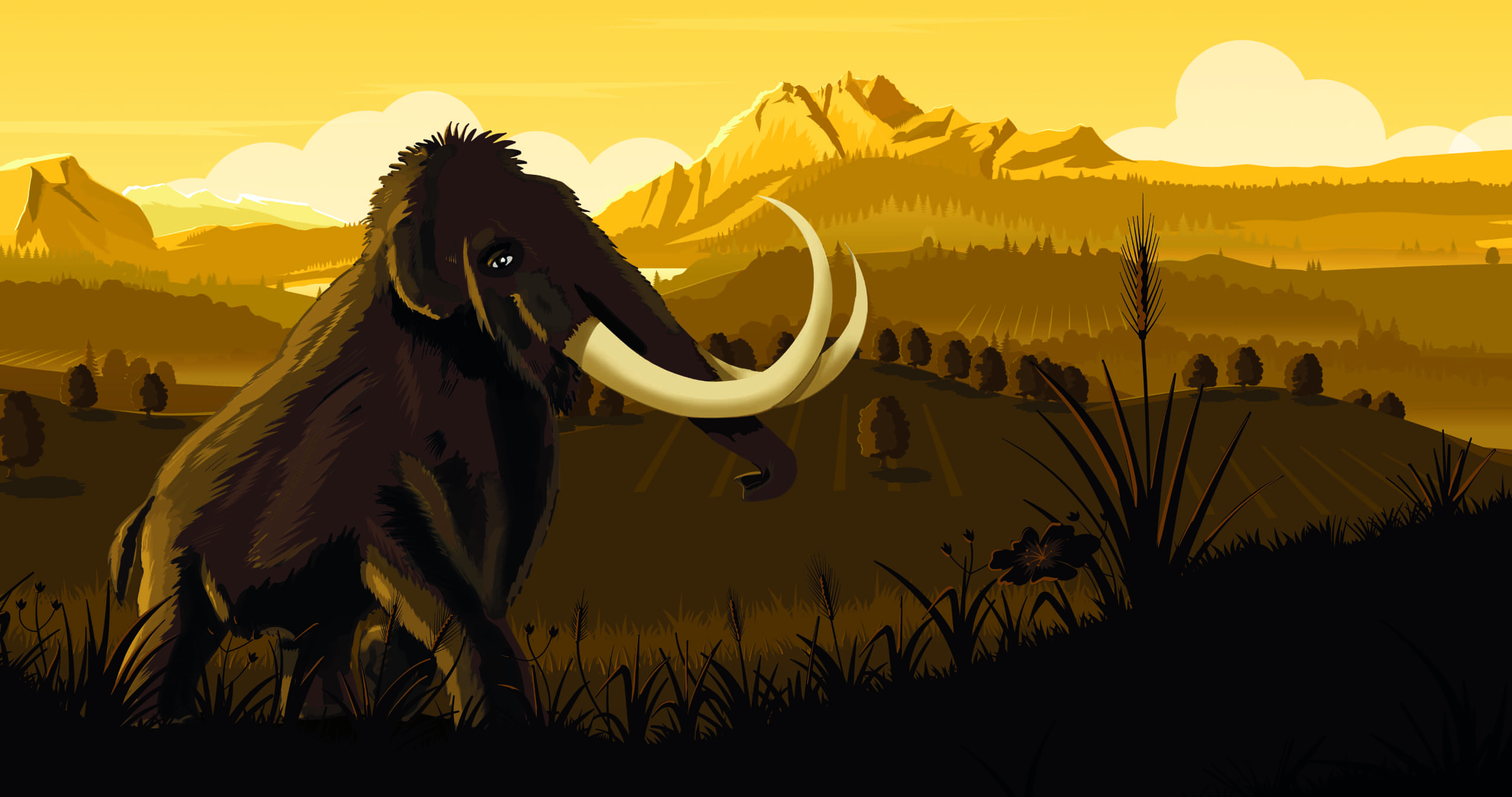 Mammut Wallpapers - Top Free Mammut Backgrounds - WallpaperAccess