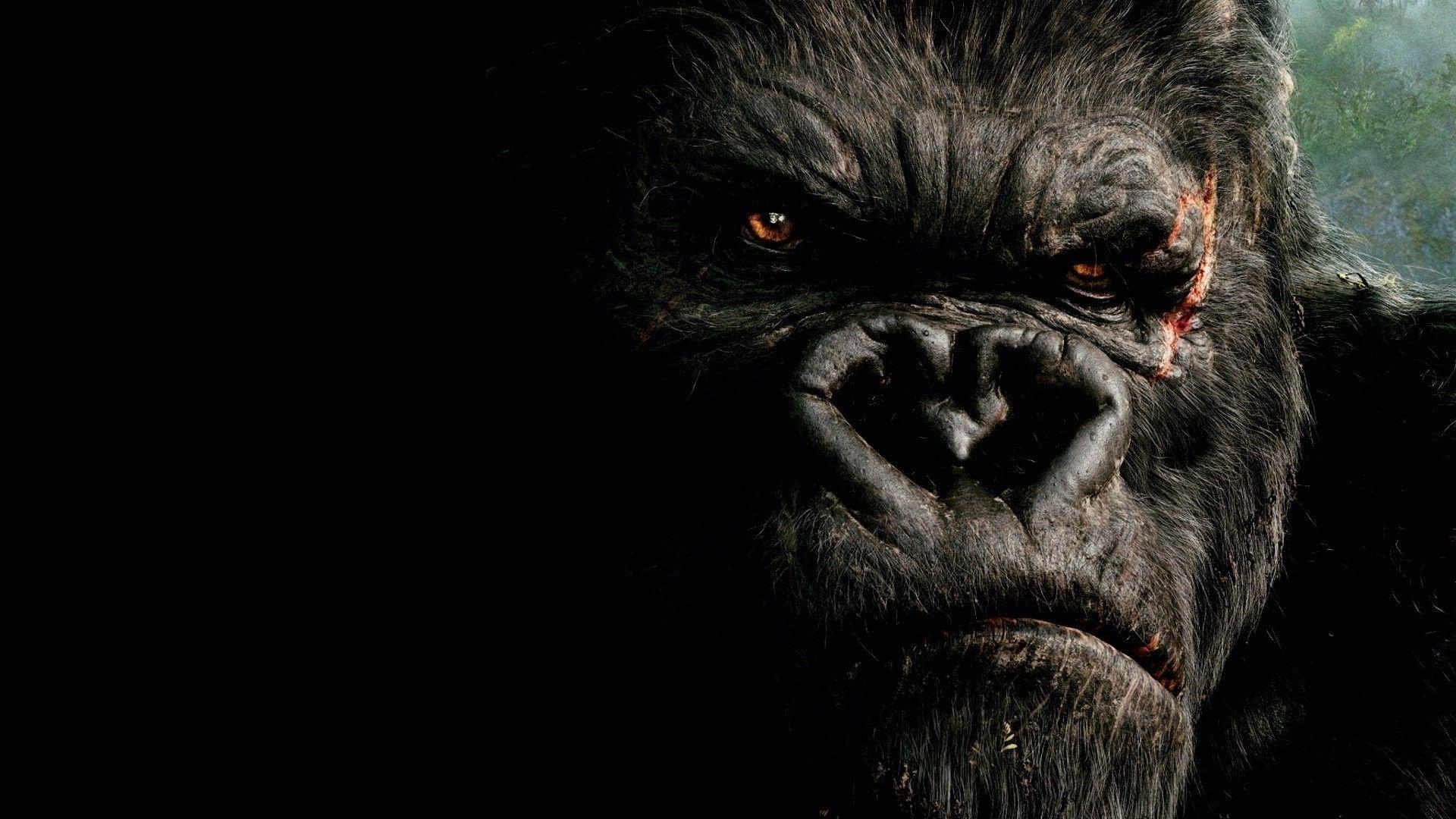 King Kong Wallpapers - Top Hình Ảnh Đẹp