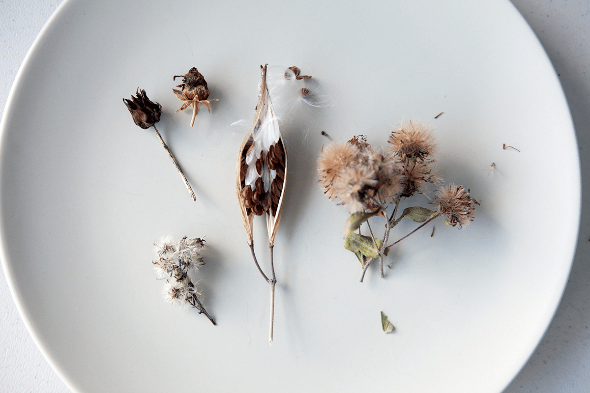 Sowing Wallpapers - Top Free Sowing Backgrounds - WallpaperAccess