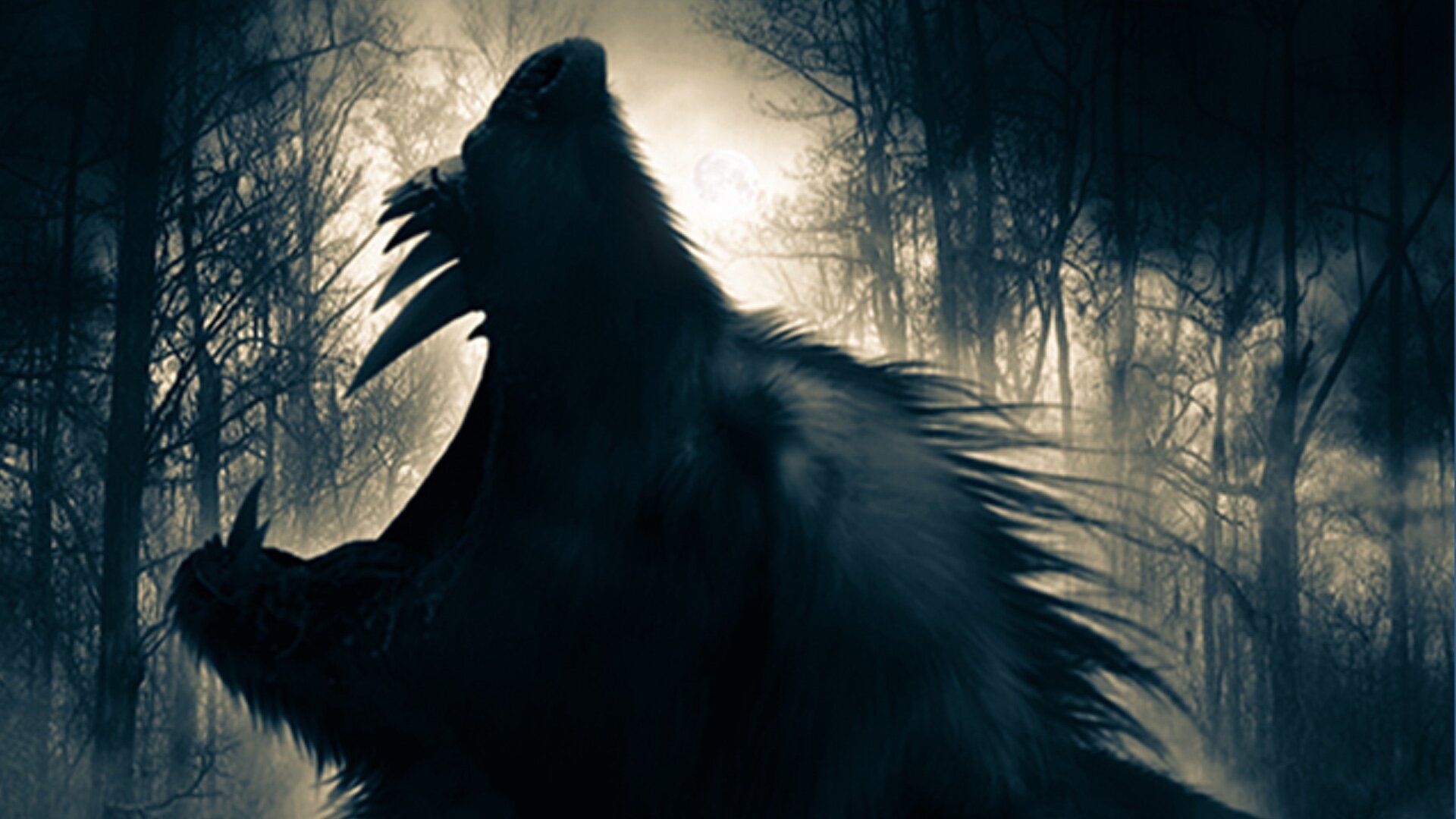 Skin Walker Wallpapers - Top Free Skin Walker Backgrounds - WallpaperAccess