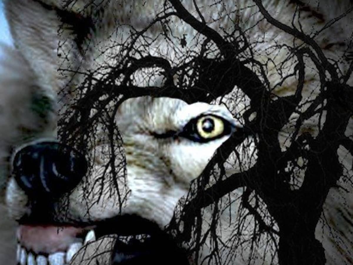 Skin Walker Wallpapers - Top Free Skin Walker Backgrounds - WallpaperAccess