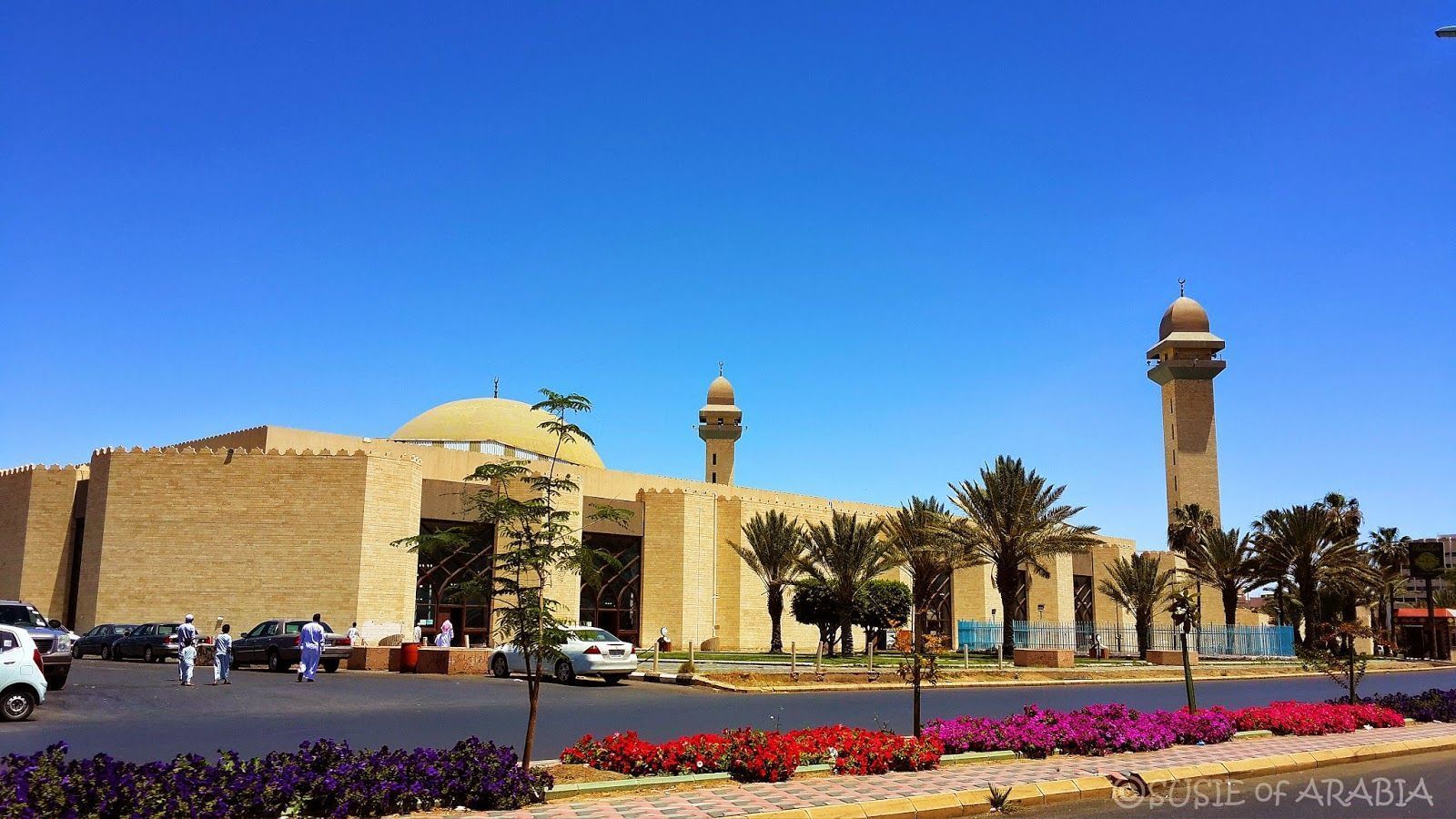 Taif Wallpapers - Top Free Taif Backgrounds - WallpaperAccess