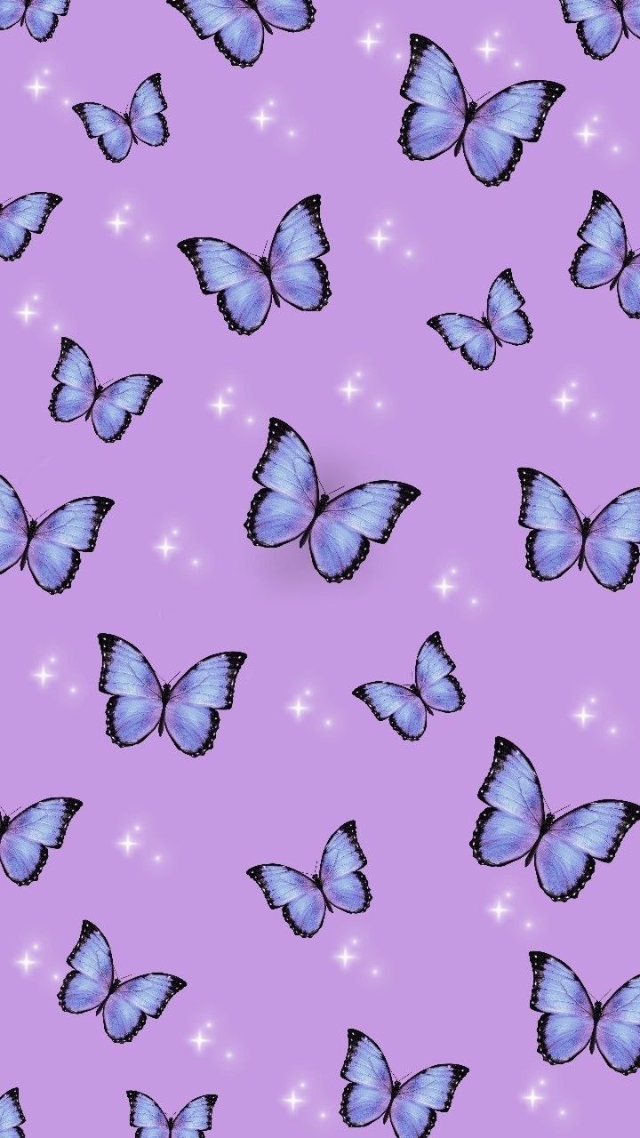 Lilac Butterfly Wallpapers - Top Free Lilac Butterfly Backgrounds ...