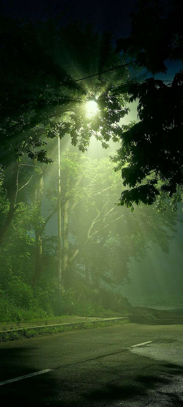 Road Light Wallpapers - Top Free Road Light Backgrounds - WallpaperAccess