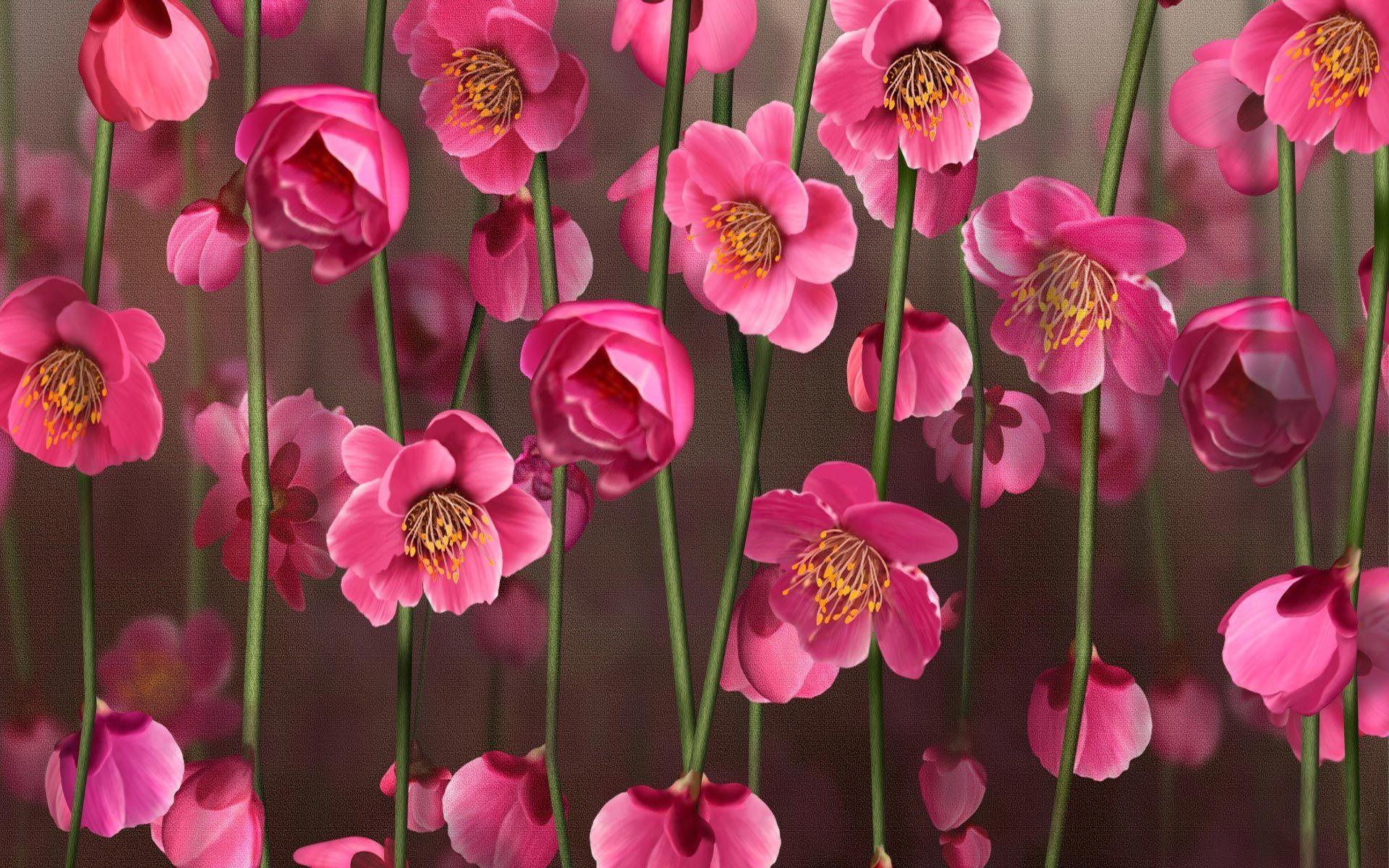 Pink Flower Wallpapers - Top Free Pink Flower Backgrounds - WallpaperAccess