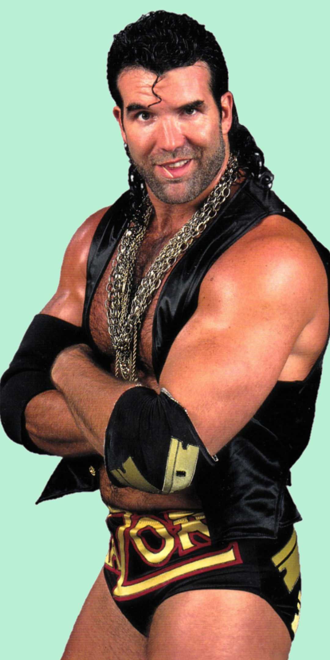 Razor Ramon Wallpapers - Top Free Razor Ramon Backgrounds - WallpaperAccess