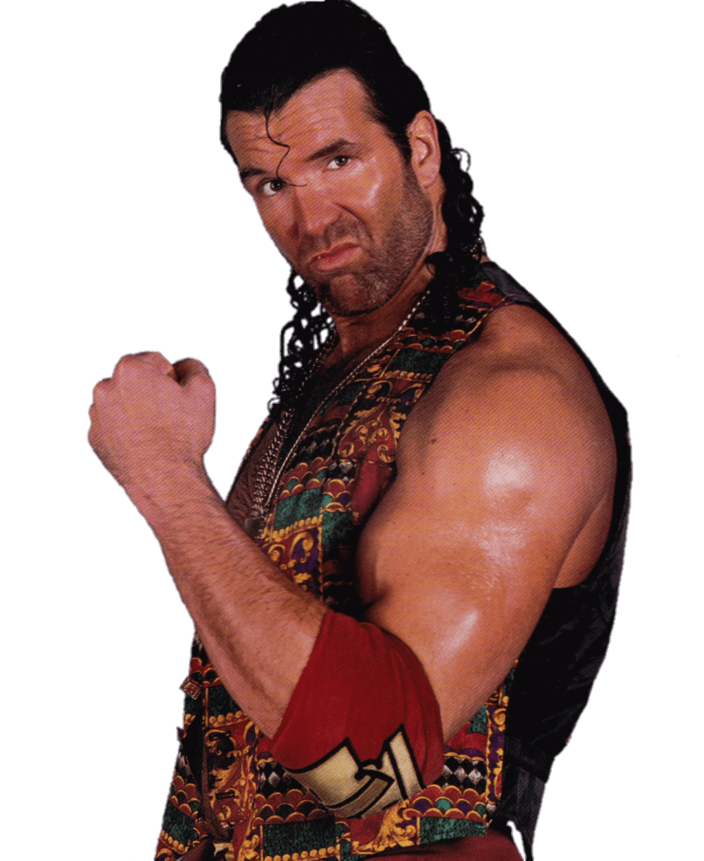 Razor Ramon Wallpapers - Top Free Razor Ramon Backgrounds - WallpaperAccess