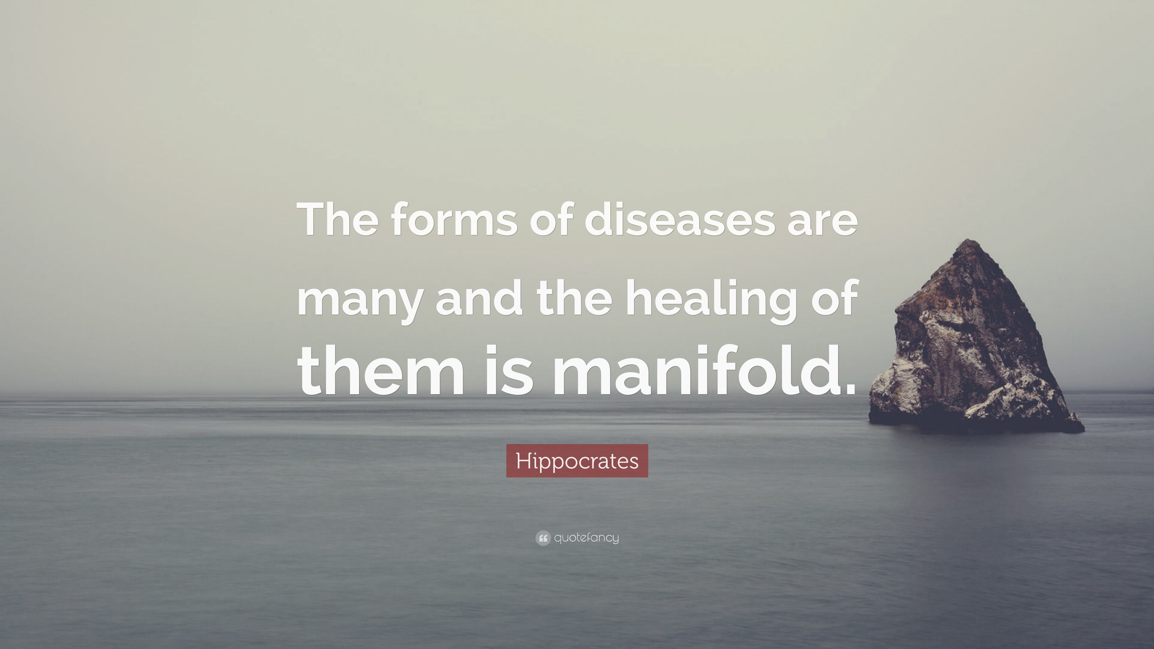 Hippocrates Wallpapers - Top Free Hippocrates Backgrounds - WallpaperAccess