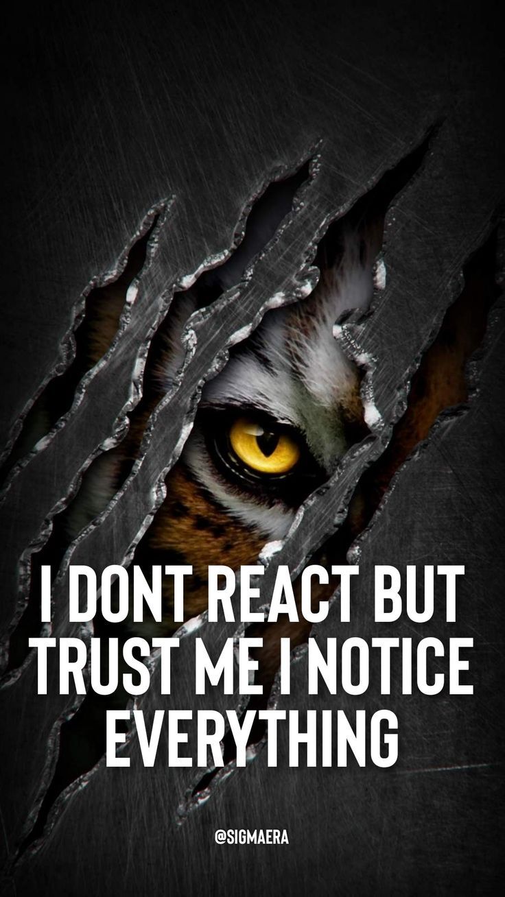 Sigma Quotes Wallpapers - Top Free Sigma Quotes Backgrounds ...