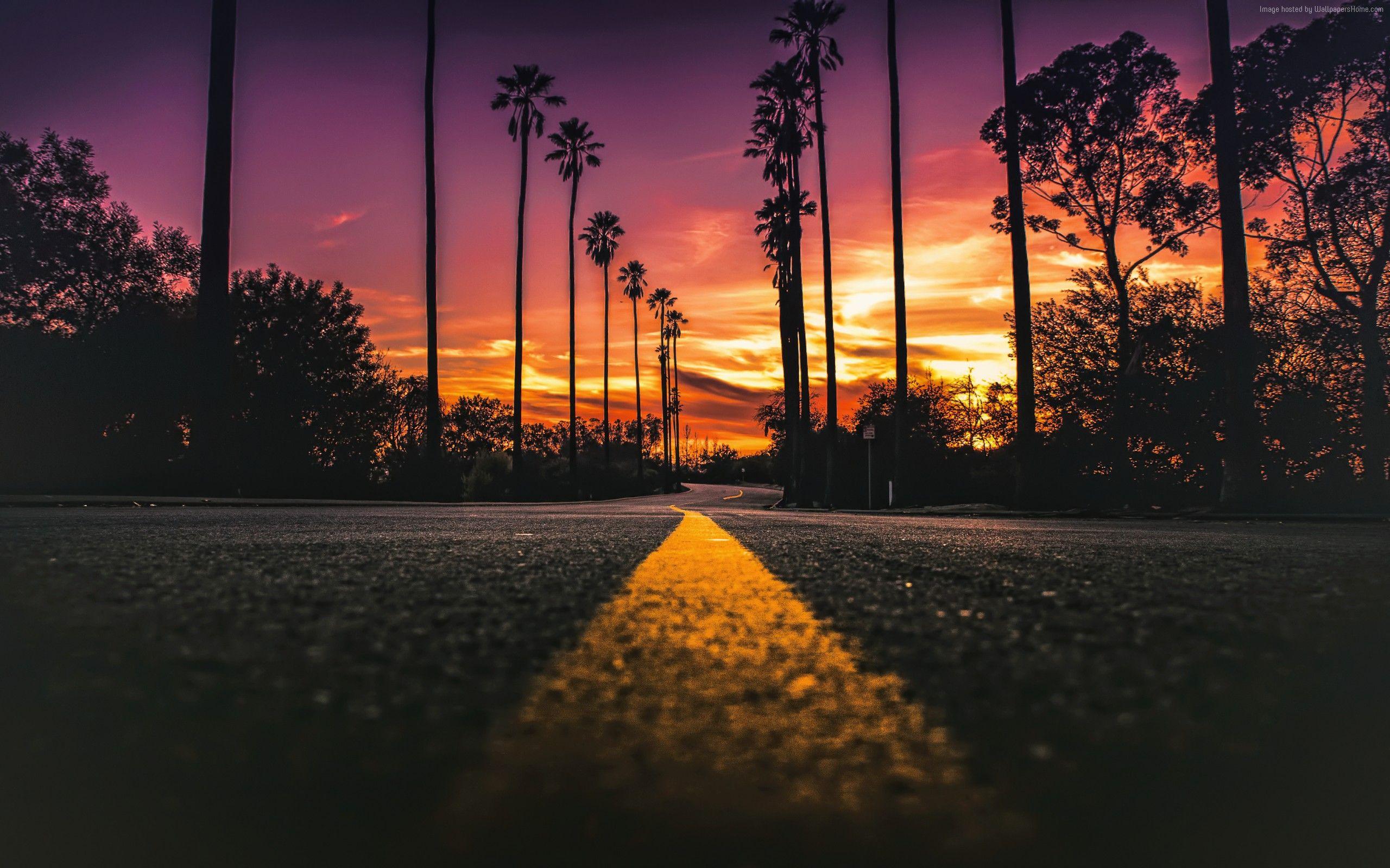 California Palm Trees Sunset Wallpapers - Top Free California Palm ...