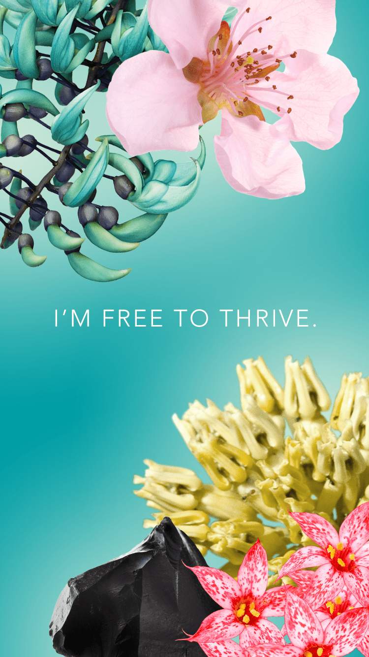 Thrive Wallpapers - Top Free Thrive Backgrounds - WallpaperAccess