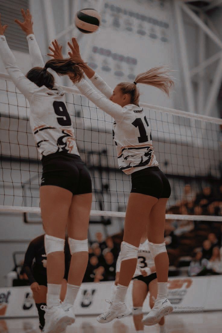 Volleyball Players Wallpapers - Top Free Volleyball Players Backgrounds ...