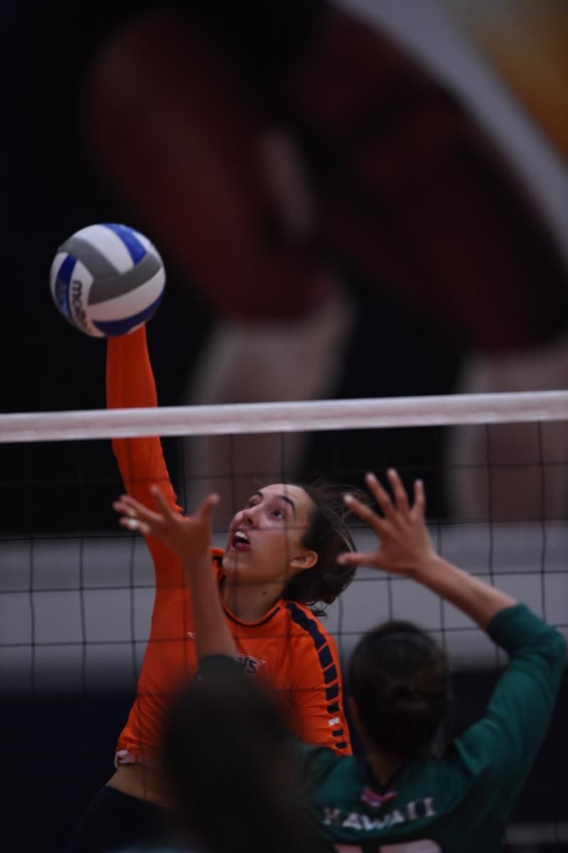 Volleyball Players Wallpapers - Top Free Volleyball Players Backgrounds ...