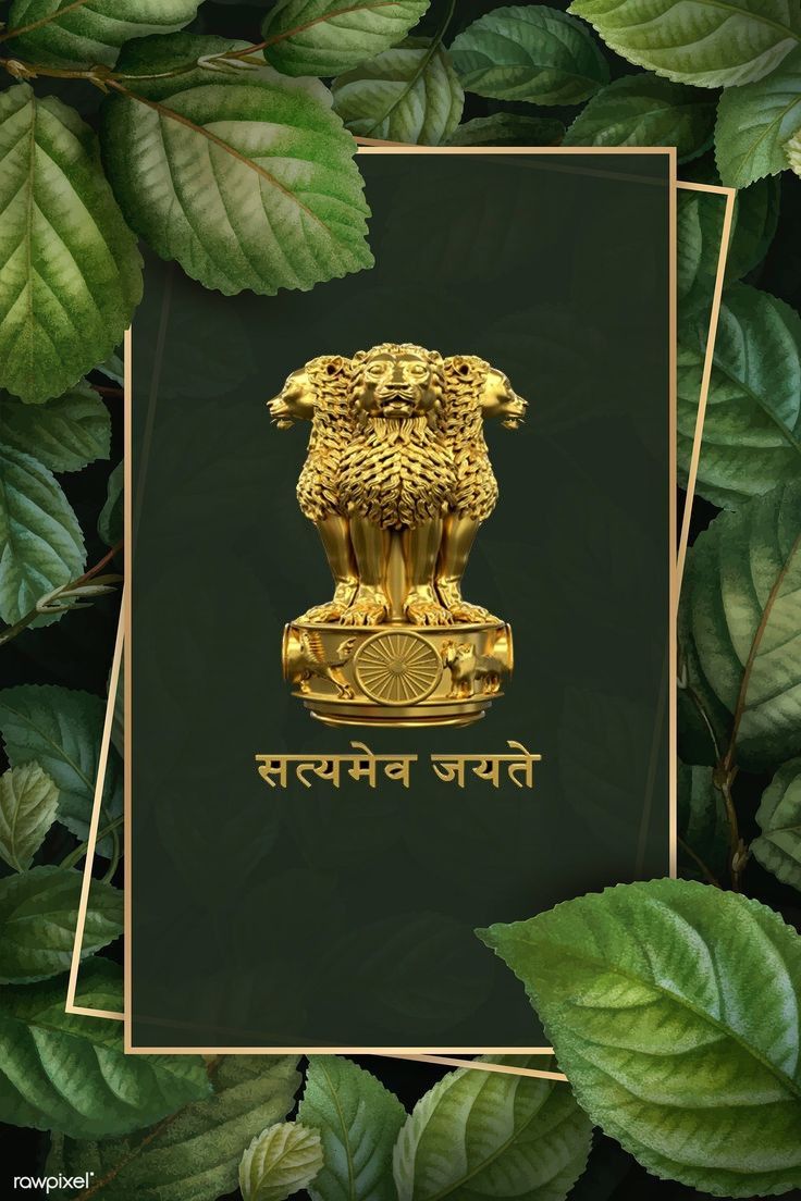 Ashoka Stambh Wallpapers - Top Free Ashoka Stambh Backgrounds ...