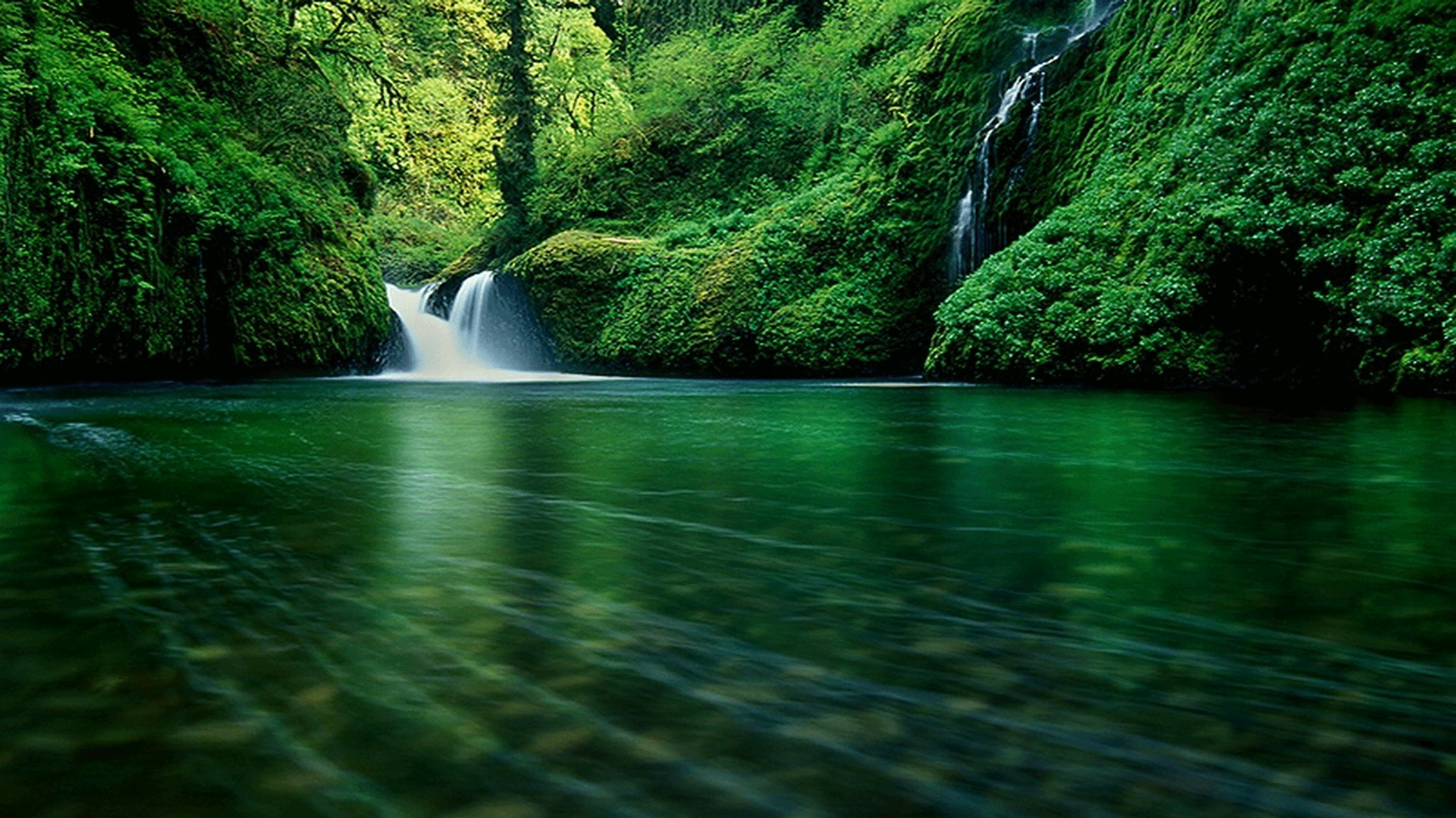 Nature Gif Wallpapers - Top Free Nature Gif Backgrounds - WallpaperAccess