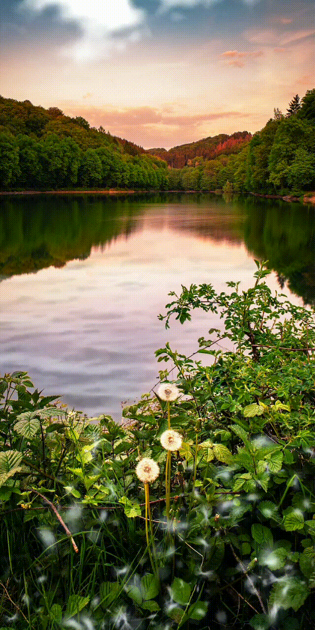 Nature Gif Wallpapers - Top Free Nature Gif Backgrounds - WallpaperAccess