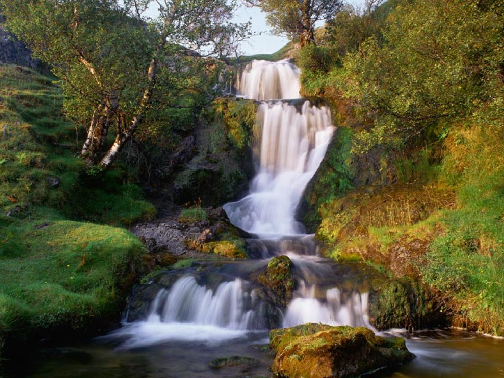 Nature Gif Wallpapers - Top Free Nature Gif Backgrounds - WallpaperAccess