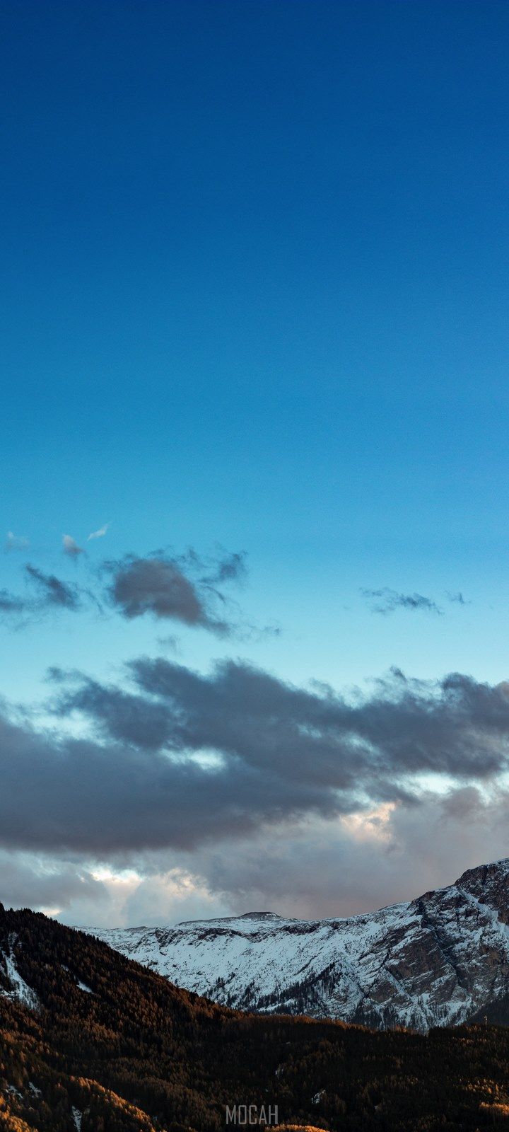 TCL Wallpapers - Top Free TCL Backgrounds - WallpaperAccess