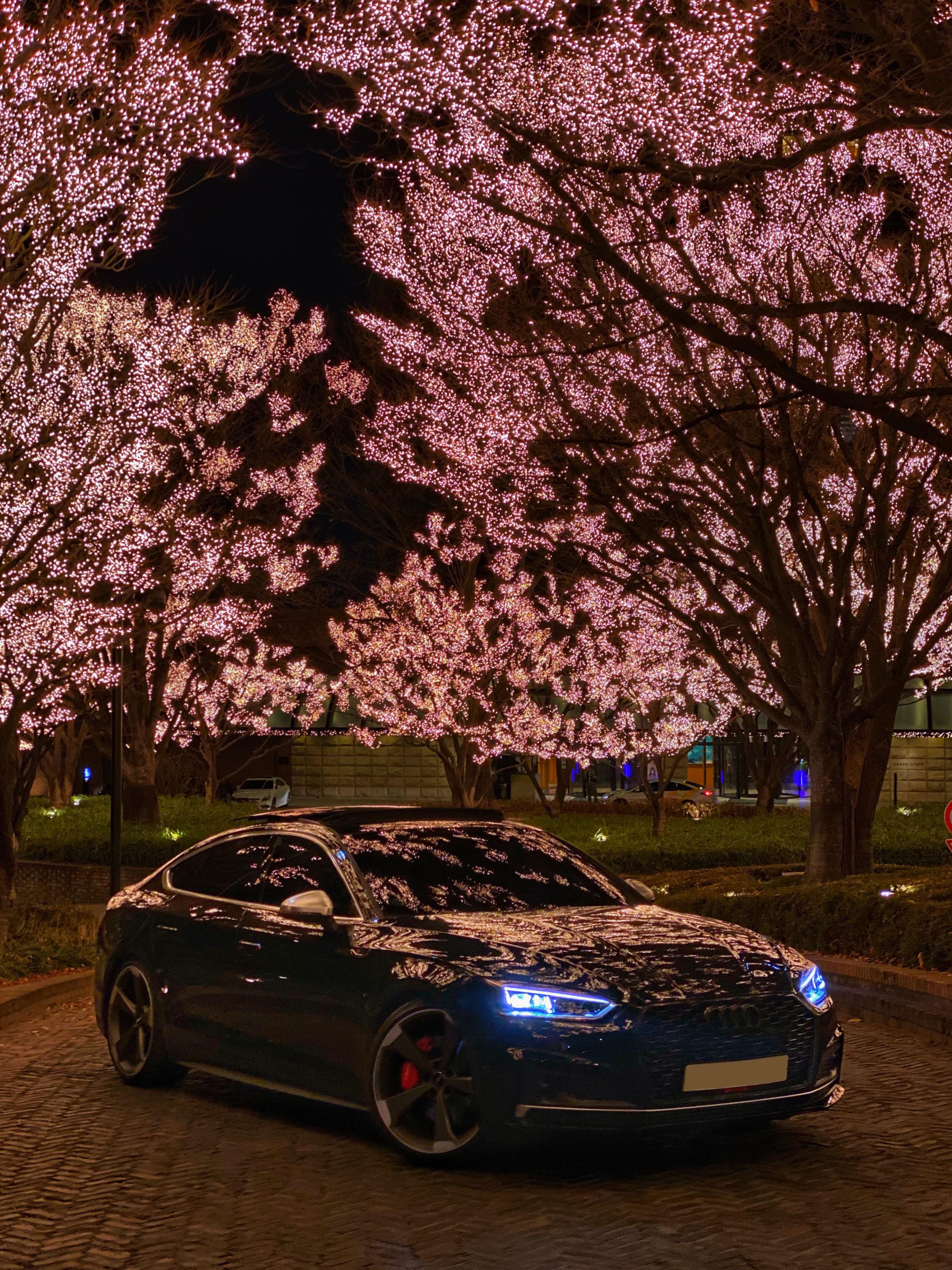 Christmas Cars Wallpapers - Top Free Christmas Cars Backgrounds ...