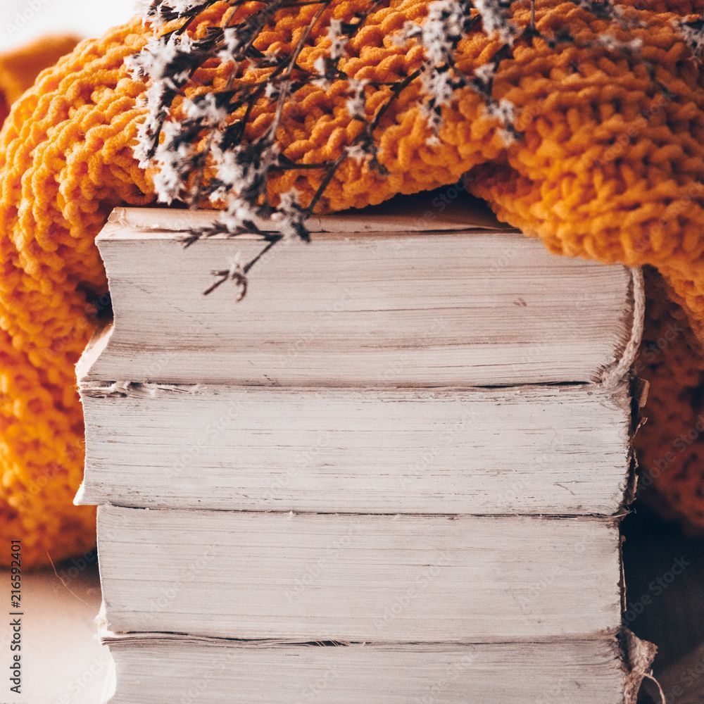 Winter Books Wallpapers - Top Free Winter Books Backgrounds ...