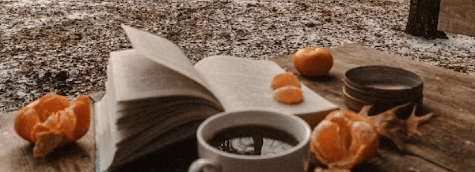 Winter Books Wallpapers - Top Free Winter Books Backgrounds ...