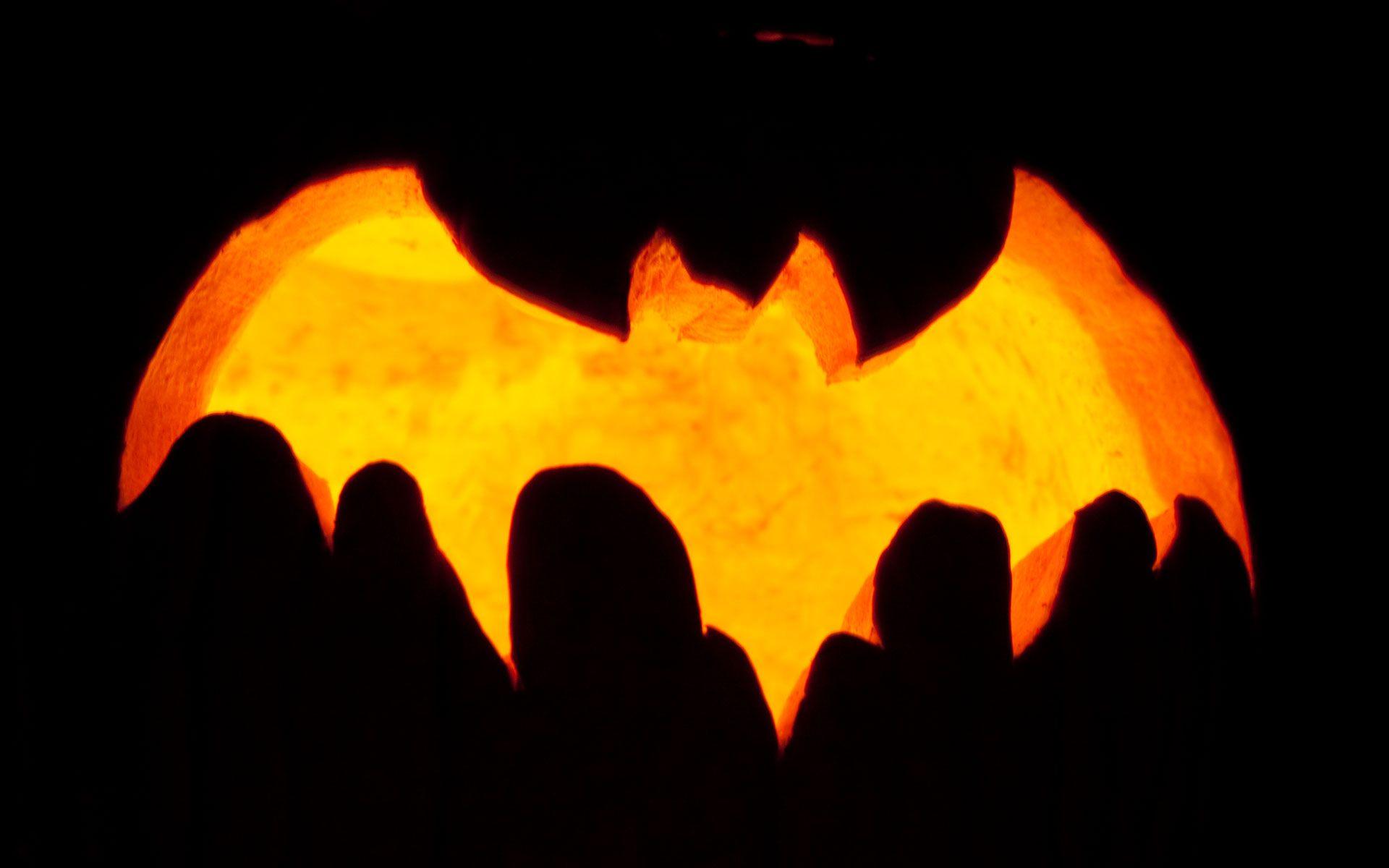 Halloween Bat Wallpapers - Top Free Halloween Bat Backgrounds ...