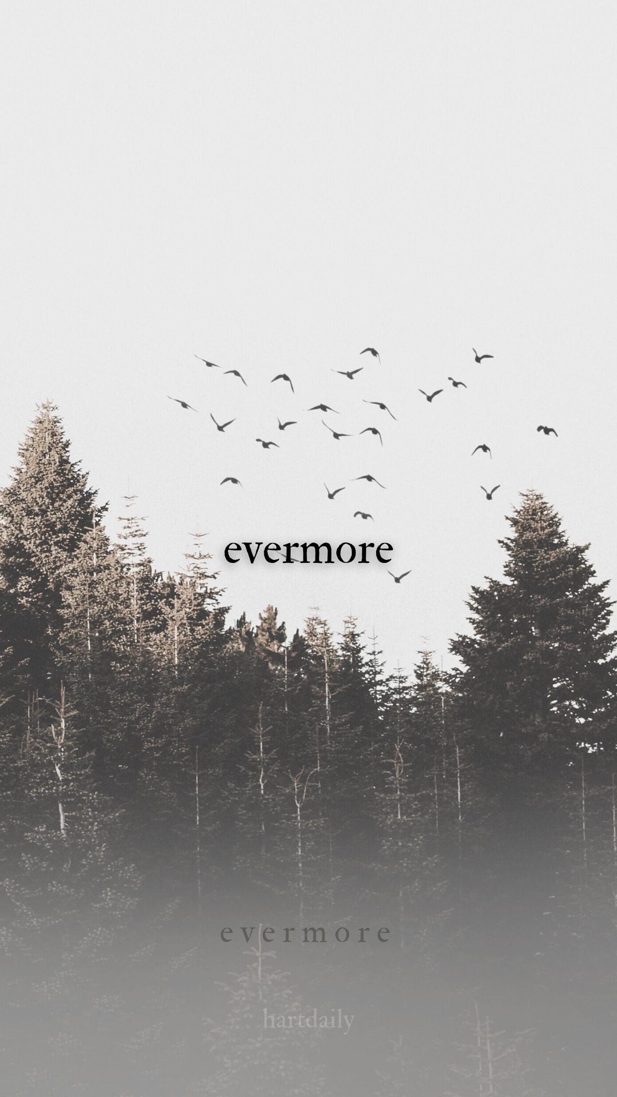 Evermore Lyrics Wallpapers - Top Free Evermore Lyrics Backgrounds ...