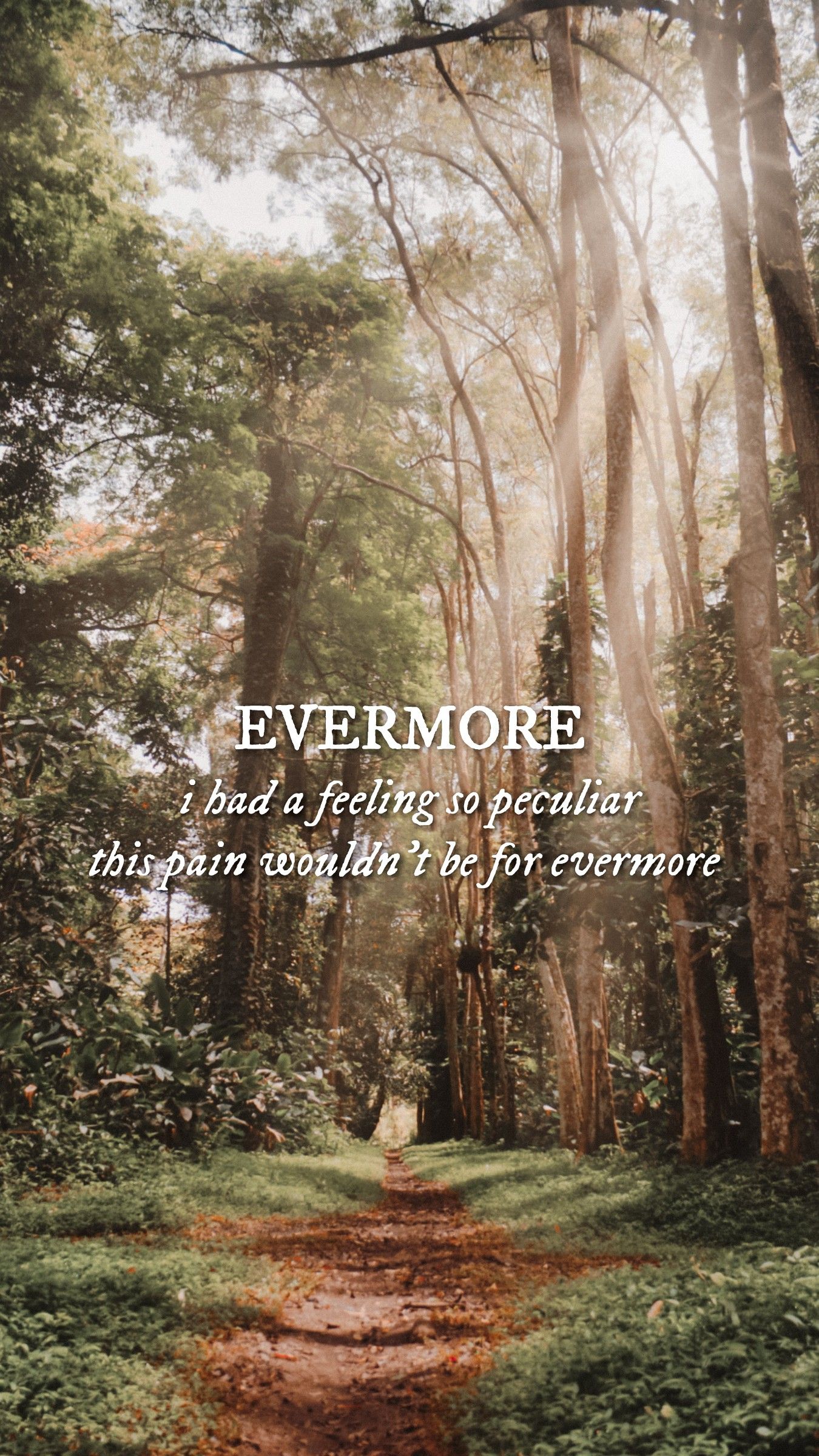 Evermore Lyrics Wallpapers - Top Free Evermore Lyrics Backgrounds ...