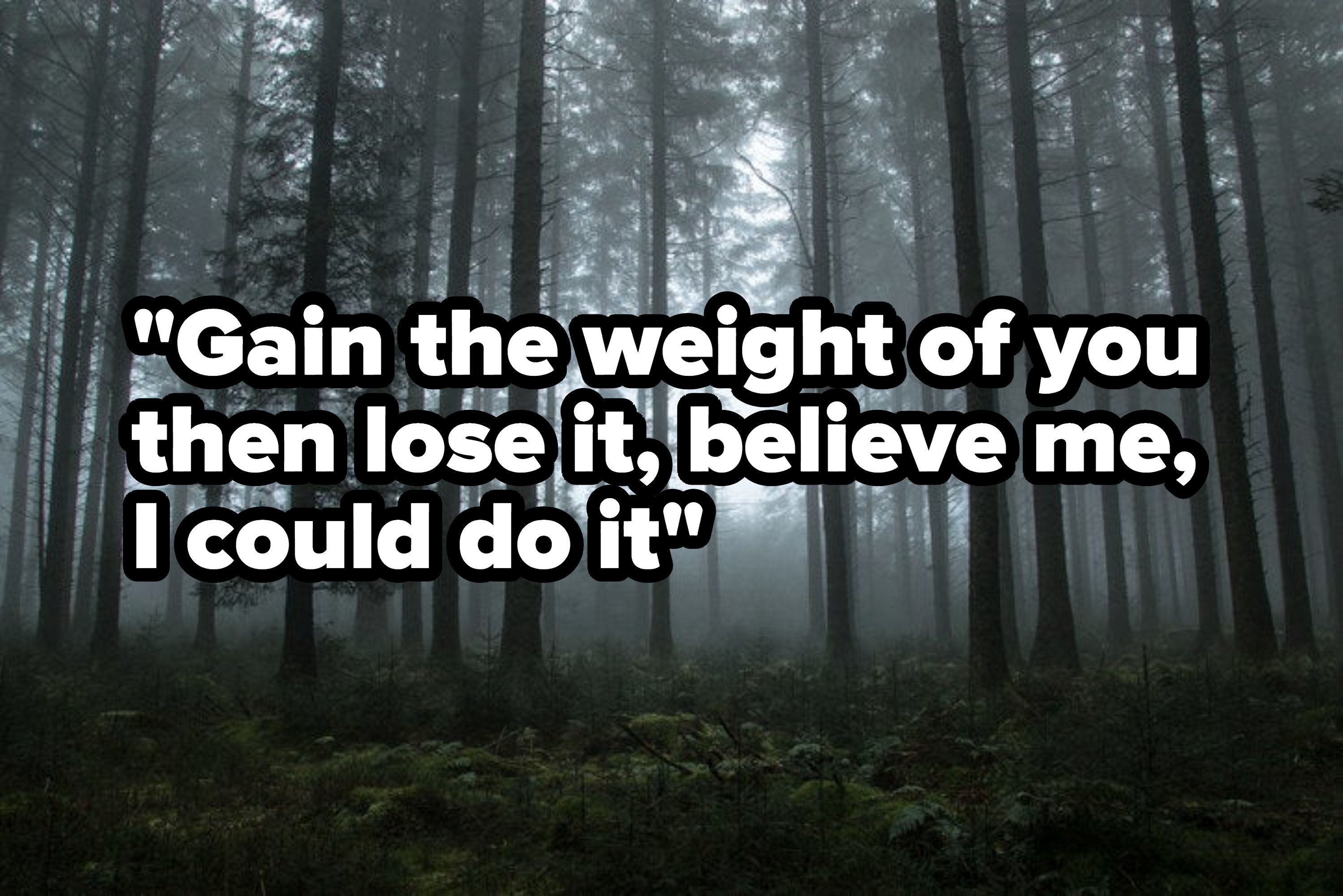 Evermore Lyrics Wallpapers - Top Free Evermore Lyrics Backgrounds ...