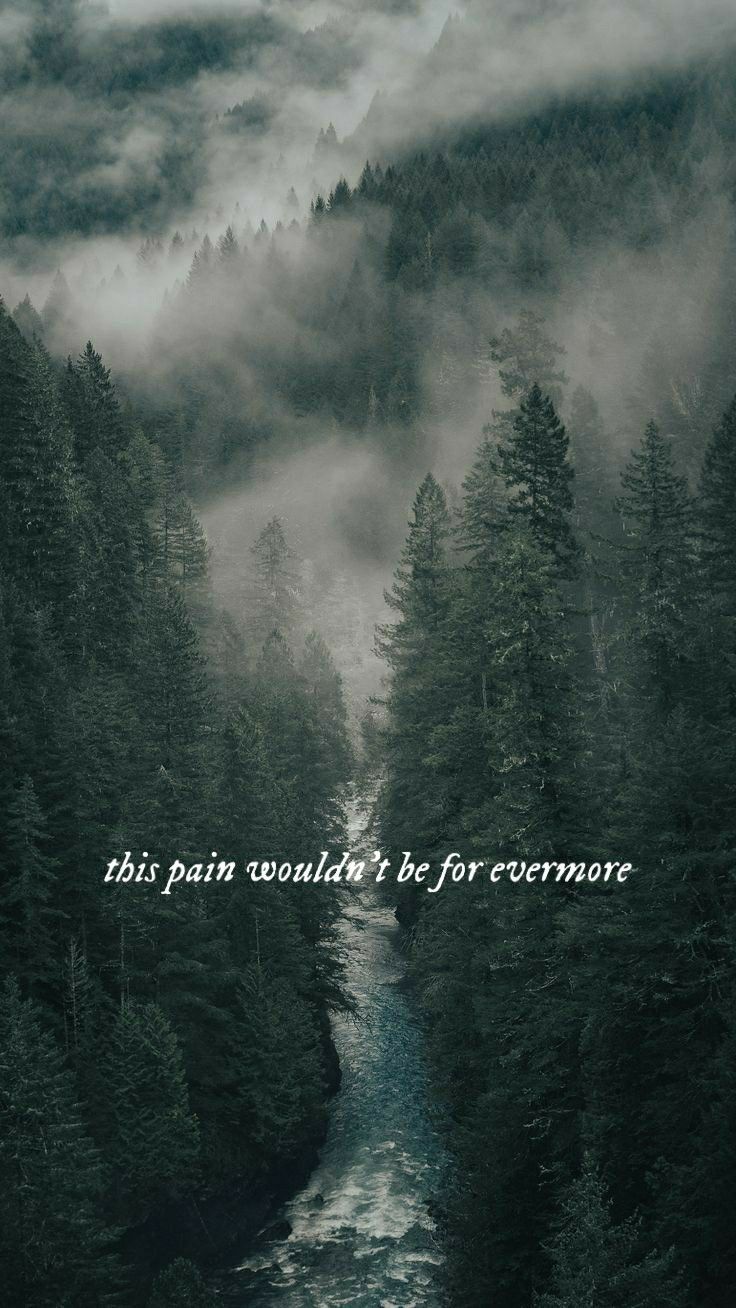 Evermore Lyrics Wallpapers - Top Free Evermore Lyrics Backgrounds ...