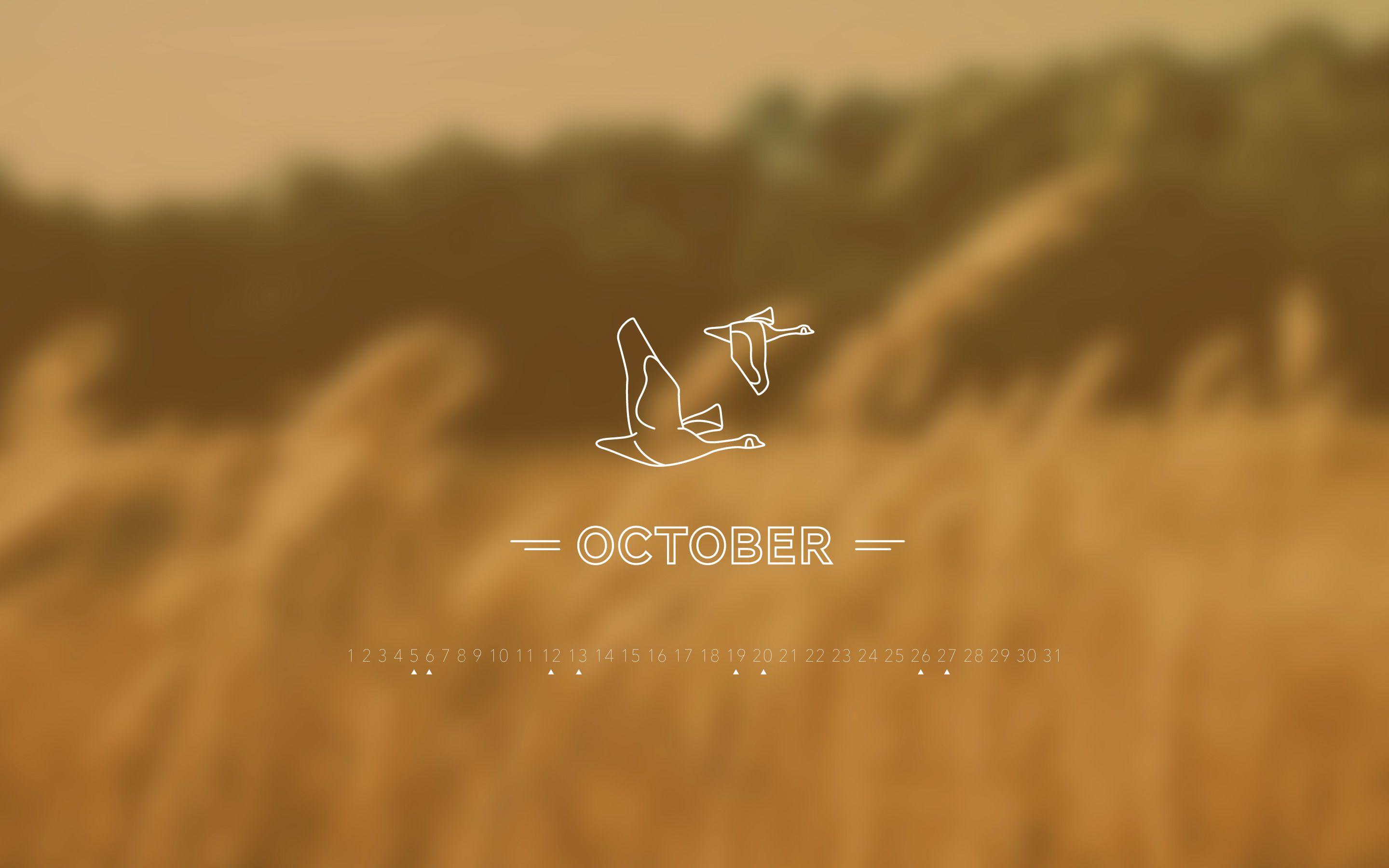 October Wallpapers - Top Free October Backgrounds - WallpaperAccess