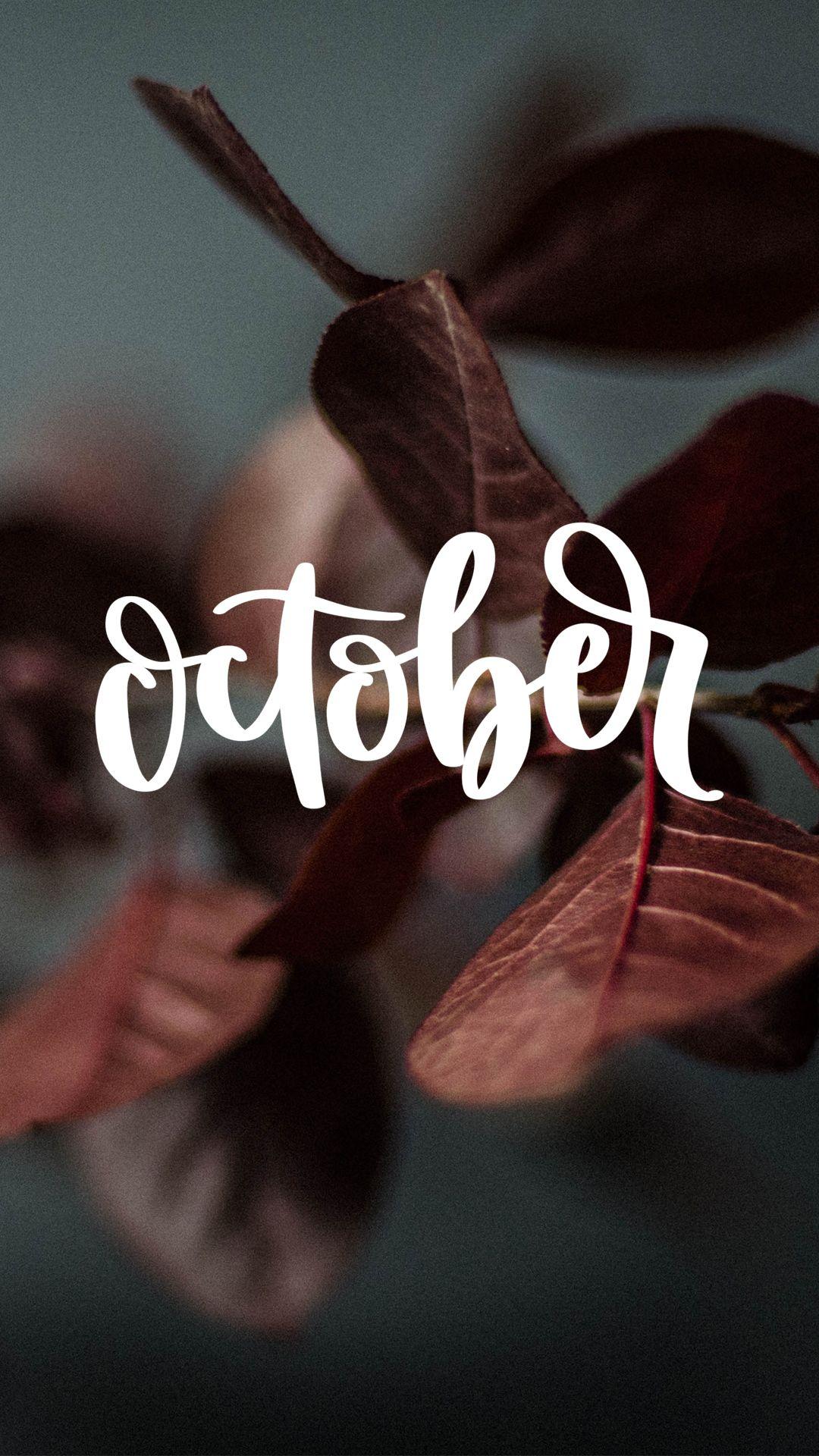 October Wallpapers - Top Free October Backgrounds - WallpaperAccess