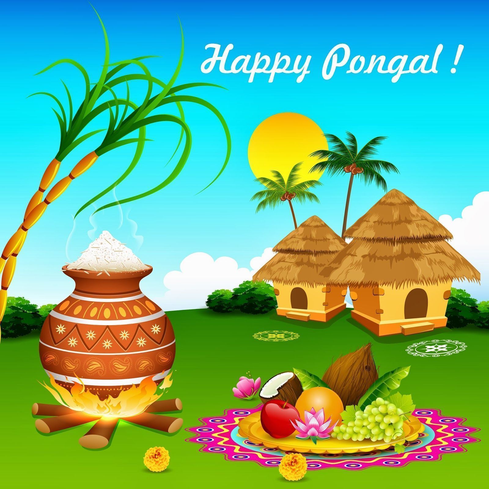 Pongal Festival Wallpapers - Top Free Pongal Festival Backgrounds ...