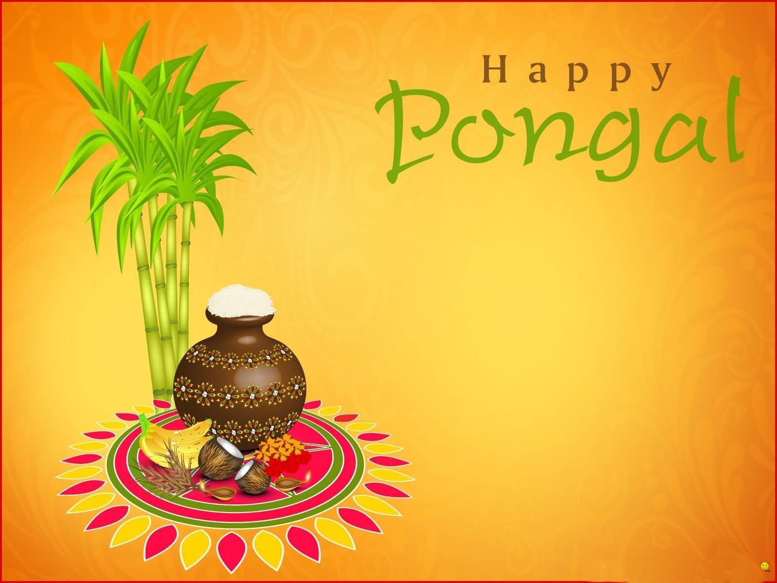 Pongal Festival Wallpapers - Top Free Pongal Festival Backgrounds ...
