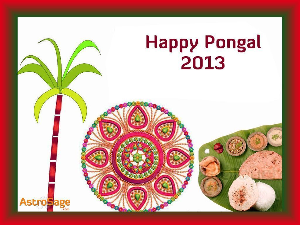 Pongal Festival Wallpapers - Top Free Pongal Festival Backgrounds ...