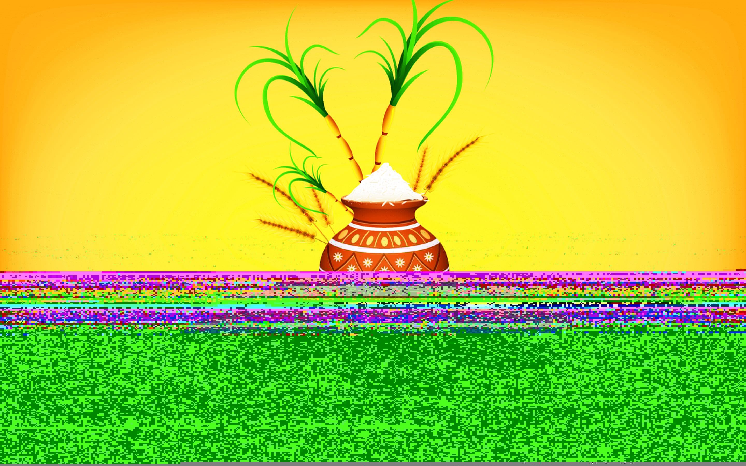 Pongal Festival Wallpapers - Top Free Pongal Festival Backgrounds ...