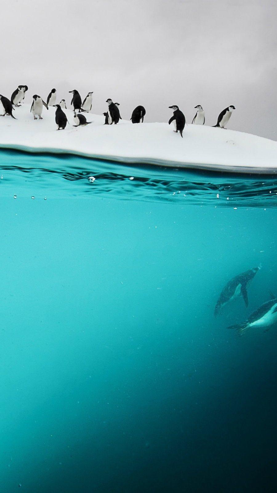 Water Phone Wallpapers - Top Free Water Phone Backgrounds - WallpaperAccess