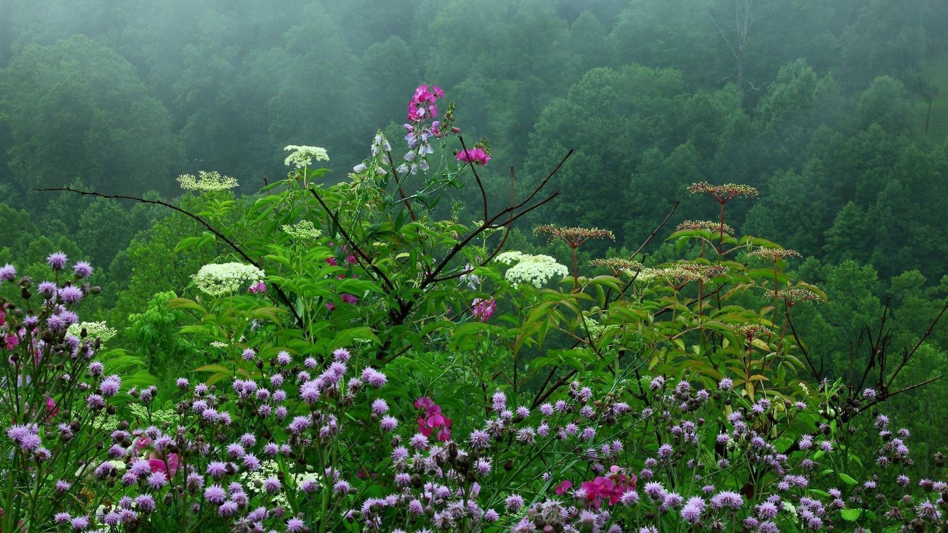 Late Spring Wallpapers - Top Free Late Spring Backgrounds - WallpaperAccess