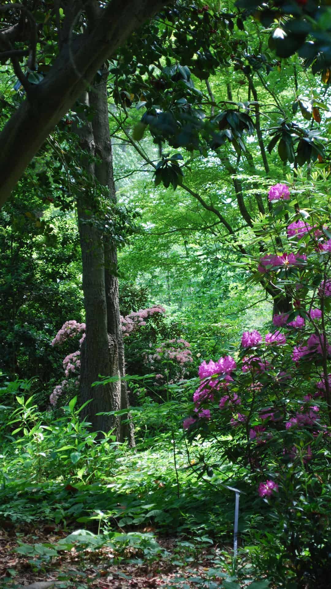 Late Spring Wallpapers - Top Free Late Spring Backgrounds - WallpaperAccess