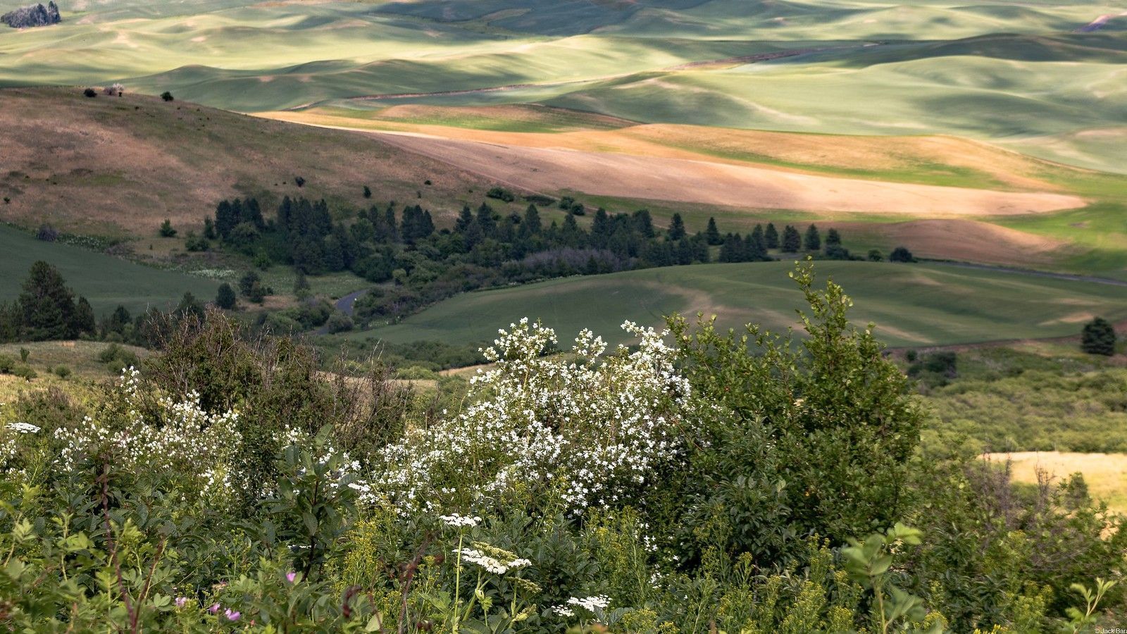 Late Spring Wallpapers - Top Free Late Spring Backgrounds - WallpaperAccess