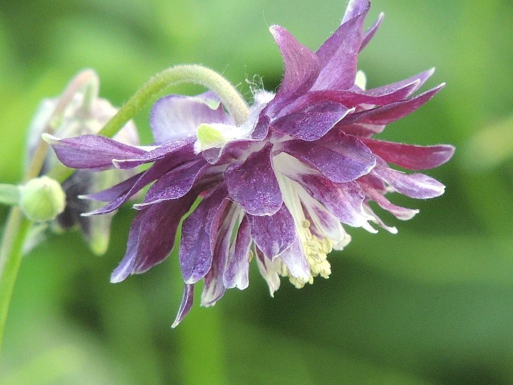 Late Spring Wallpapers - Top Free Late Spring Backgrounds - WallpaperAccess