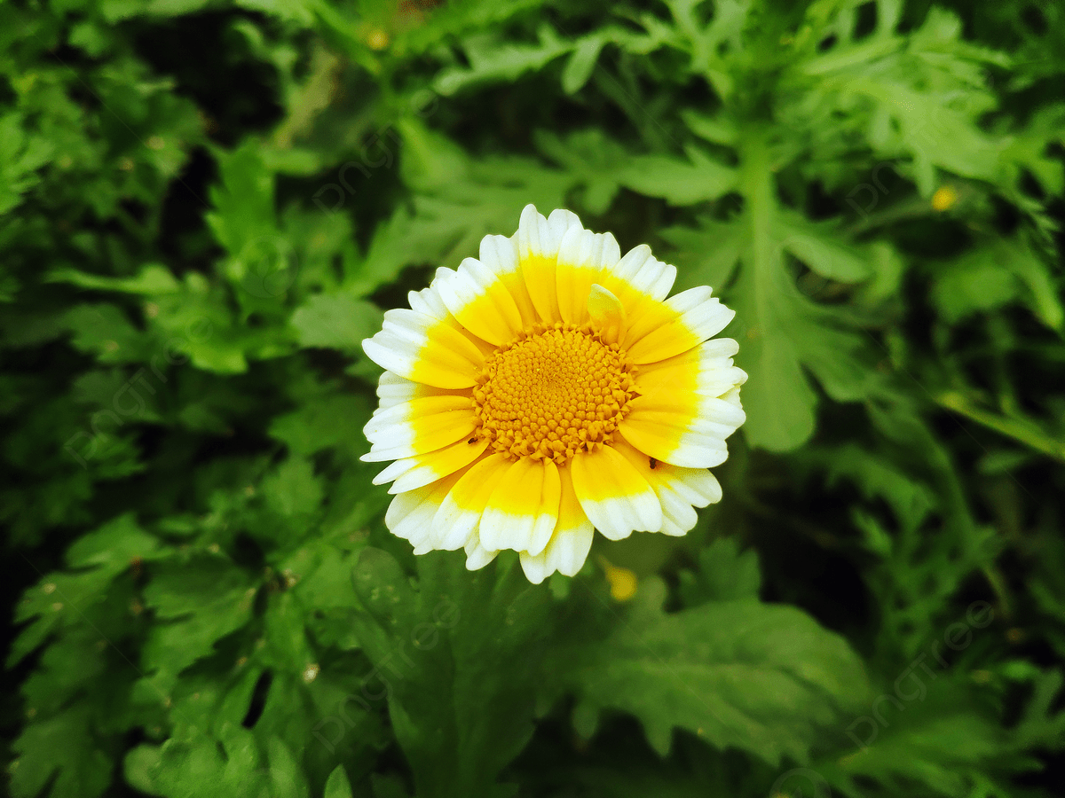 Late Spring Wallpapers - Top Free Late Spring Backgrounds - WallpaperAccess