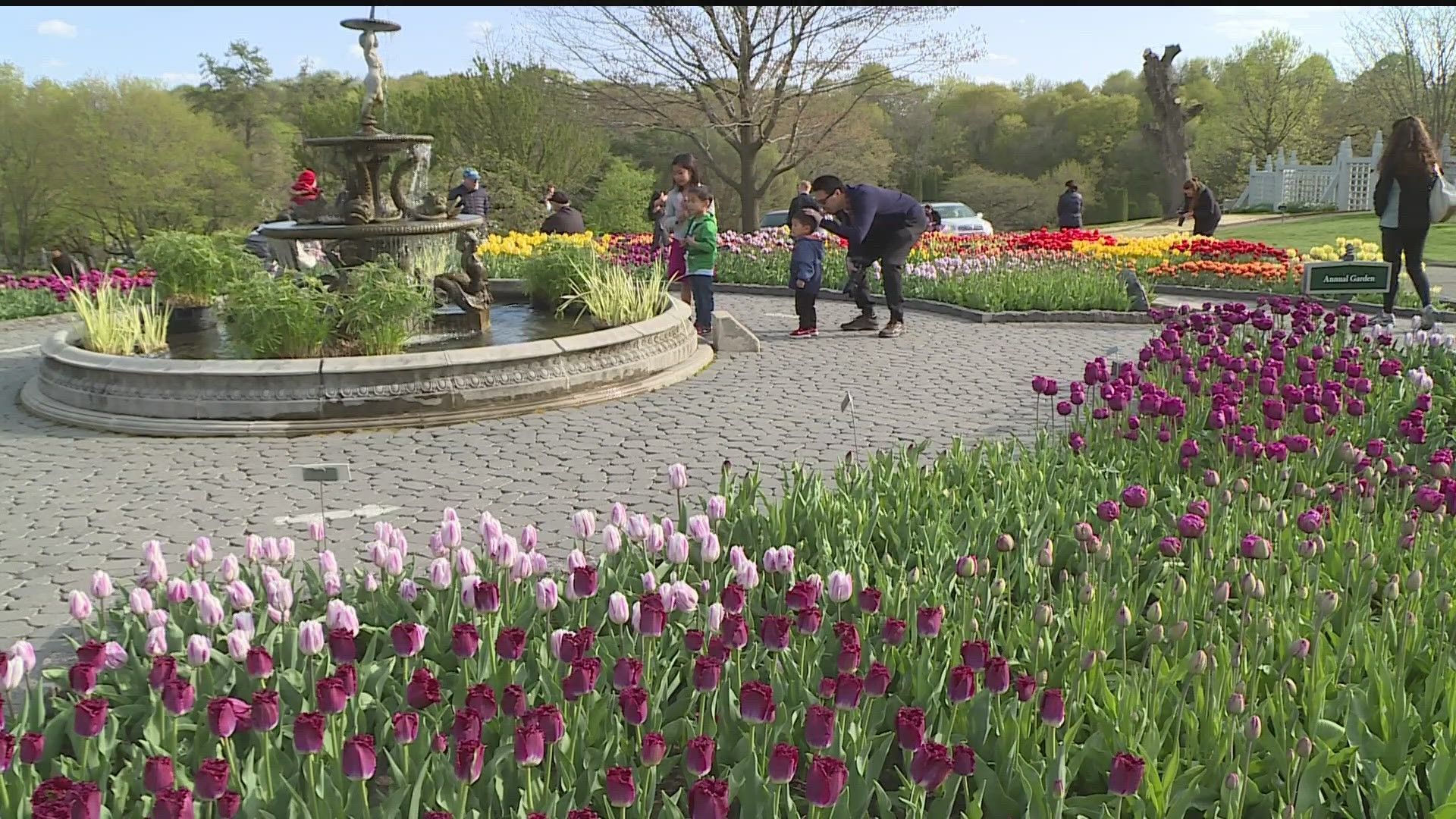 Late Spring Wallpapers - Top Free Late Spring Backgrounds - WallpaperAccess