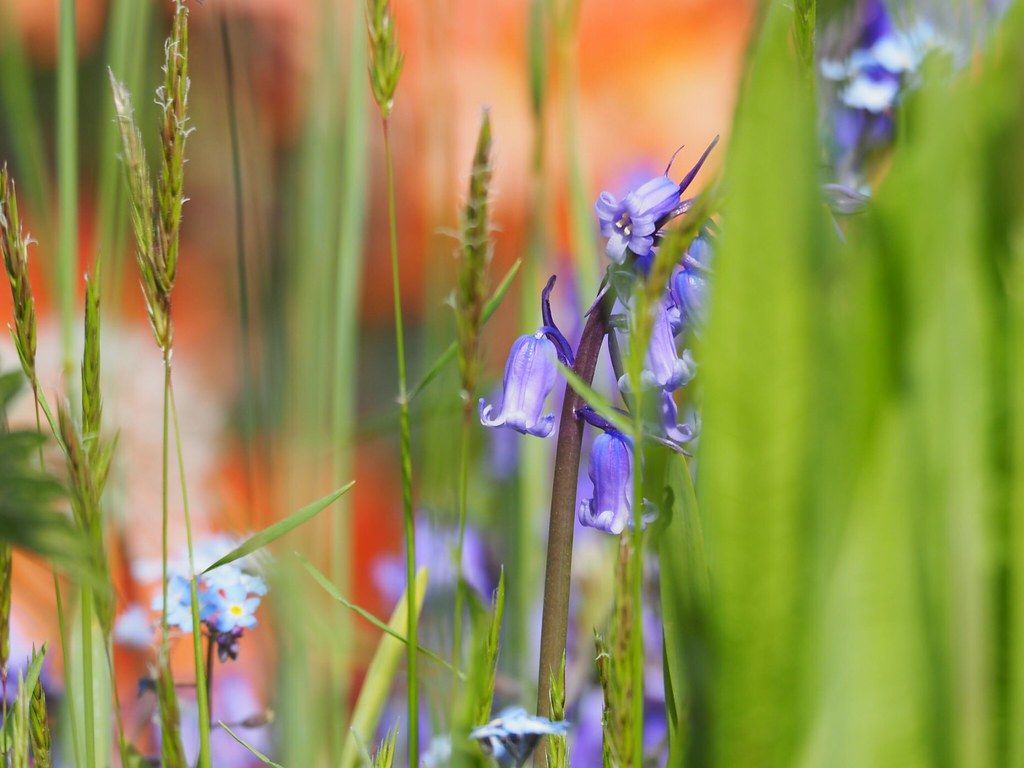 Late Spring Wallpapers - Top Free Late Spring Backgrounds - WallpaperAccess