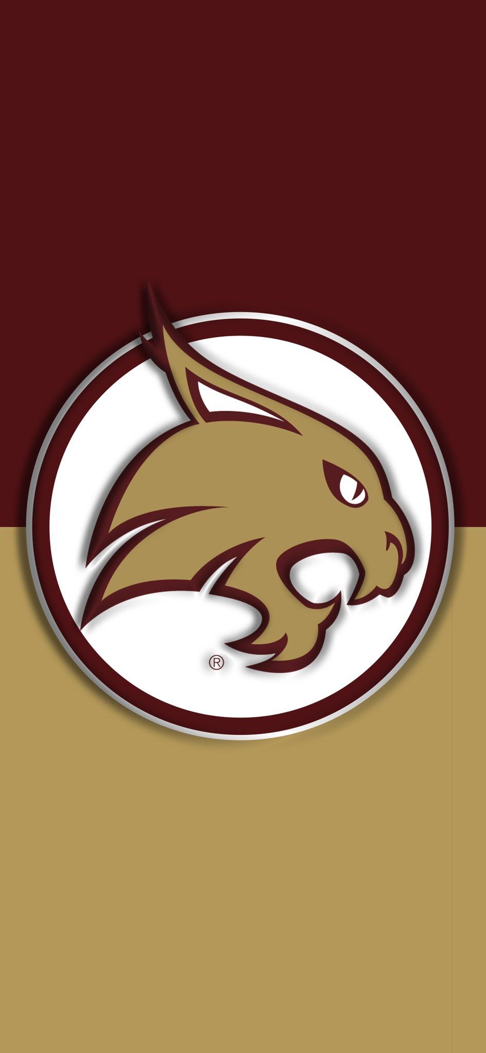 Texas State Wallpapers - Top Free Texas State Backgrounds - WallpaperAccess